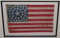 42 Star Flag